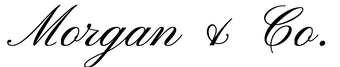 Morgan & Co. - Junior Social Dresses for Prom, Homecoming